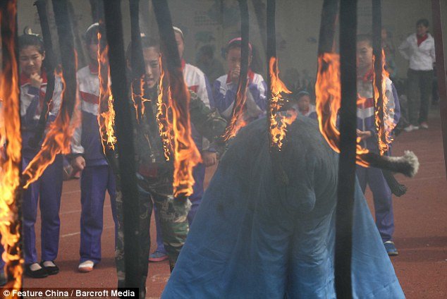 Fighting Fire (Safety Ignorance) With, er, Fire – and Other Bizarre Stories